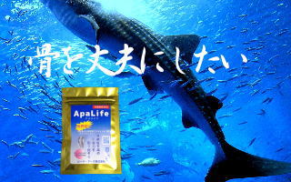 アパライフ～ピークアース株式会社 トップページ